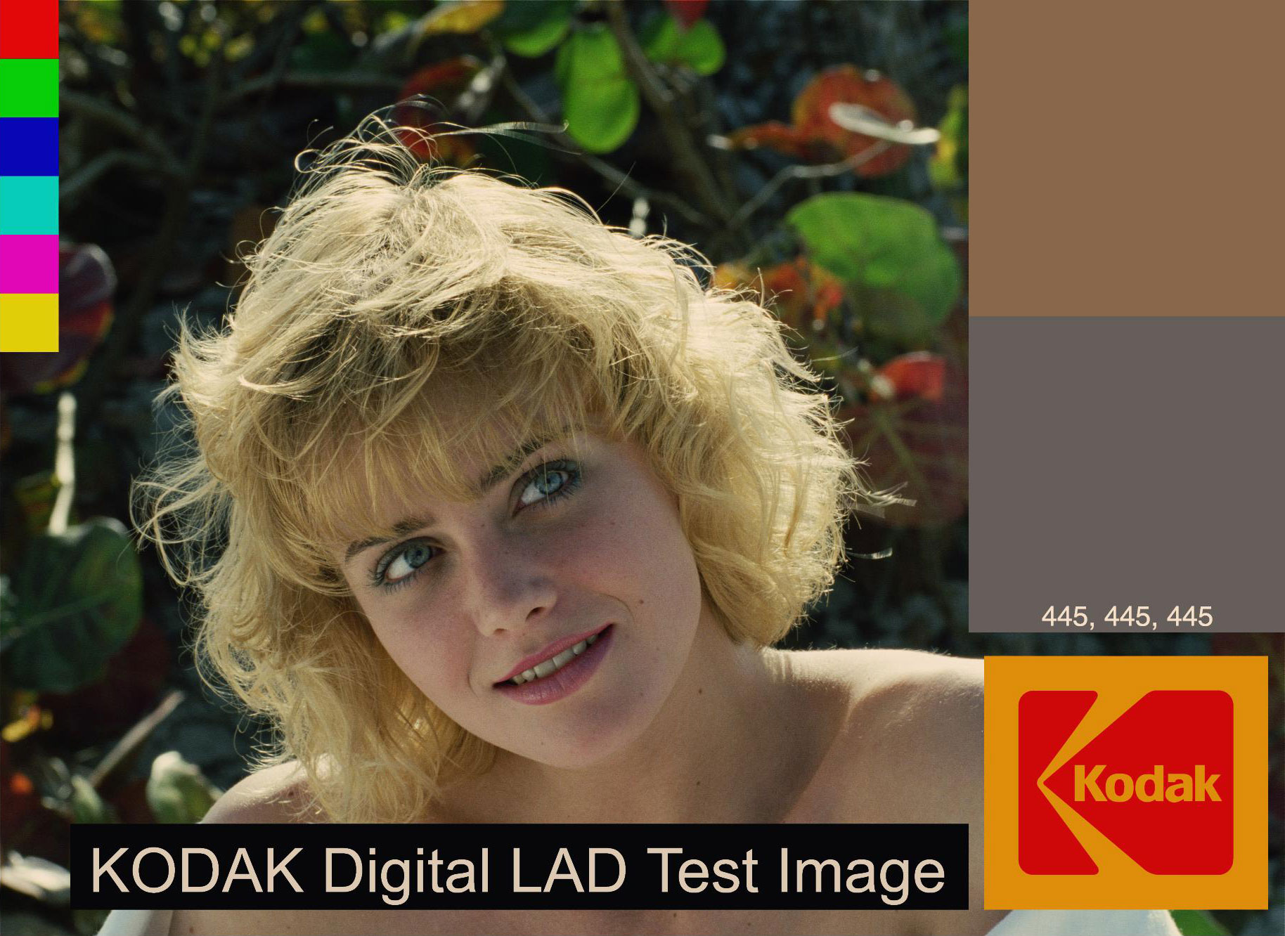 ColourSpace | What is a LUT?